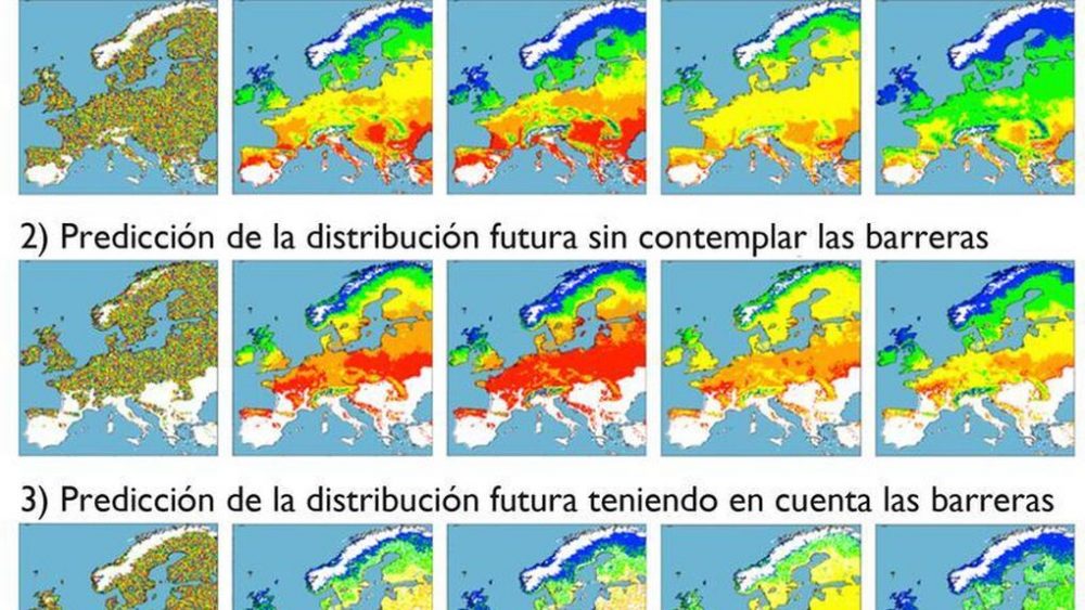 El Cambio Climático Podría Reducir La Distribución De Los Seres Vivos