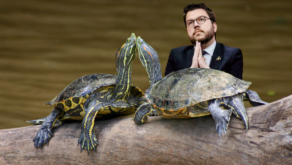 Pere Aragonès y la mala leche de las tortugas