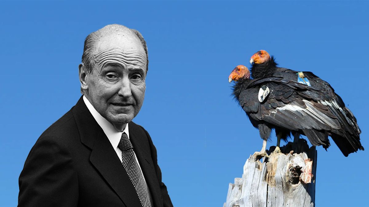 Miquel Roca y la memoria del cóndor de California